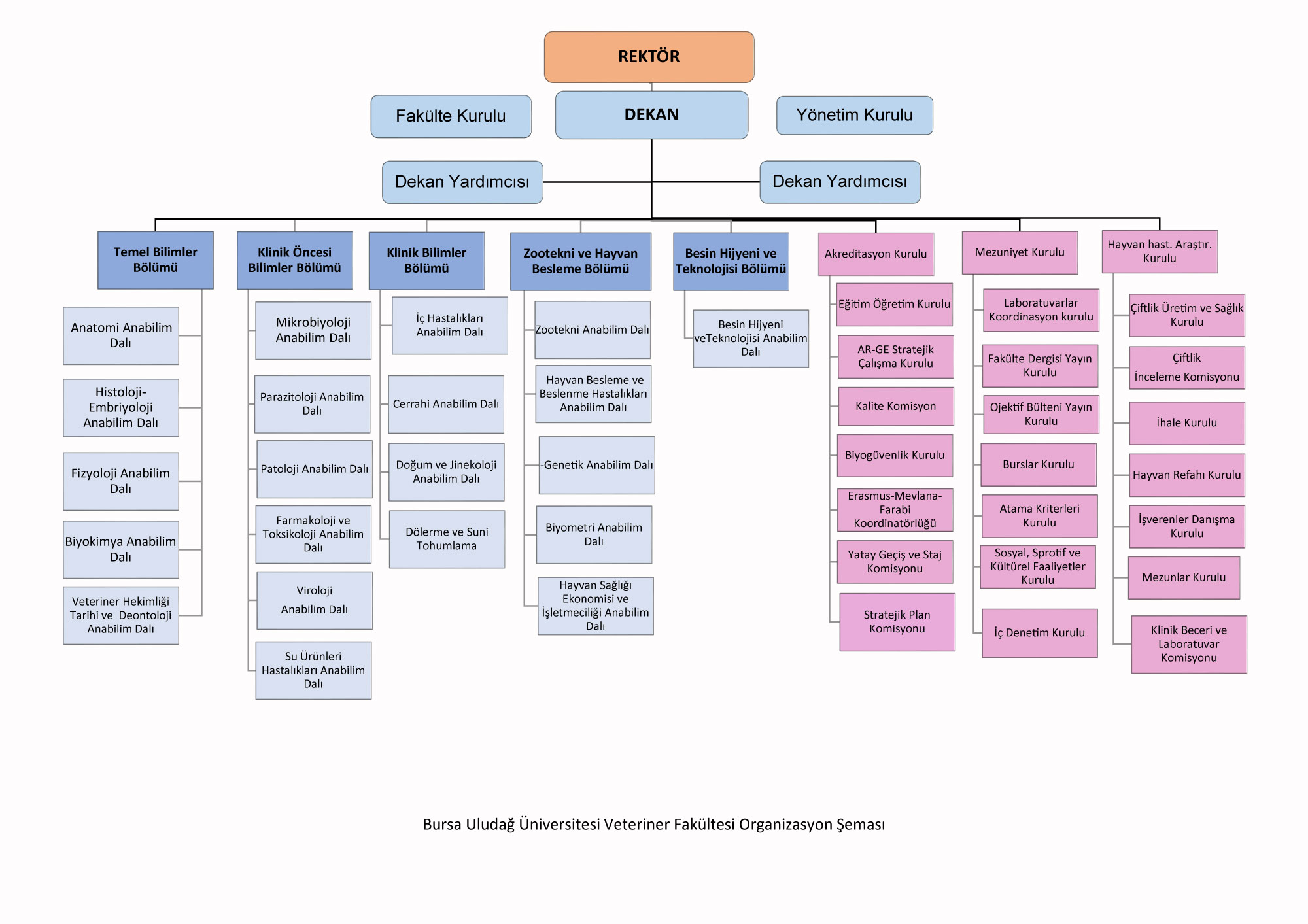 Bursa Uludağ Üniversitesi